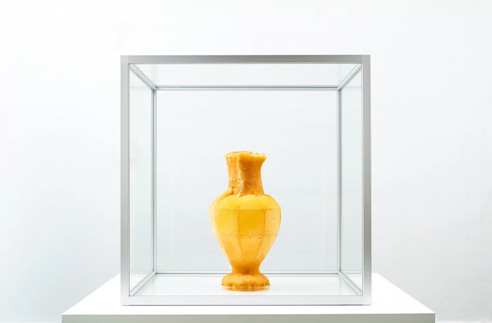 Le génie naturel. L'extraordinaire inventivité naturelle | Atlas Concorde