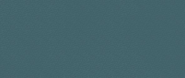 Boost Color Navy Frog | Atlas Concorde EN