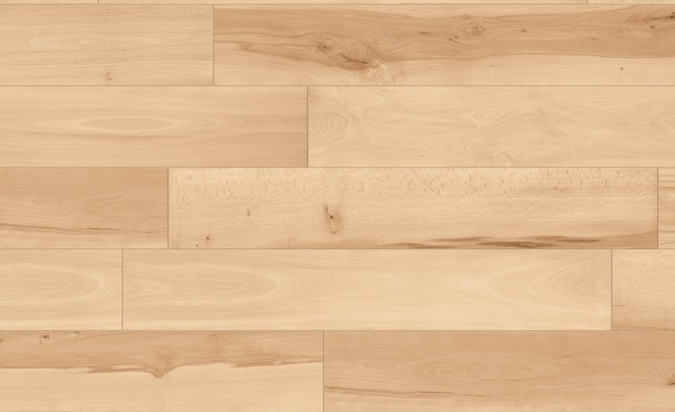 Log Cansei Rialto | Atlas Concorde EN