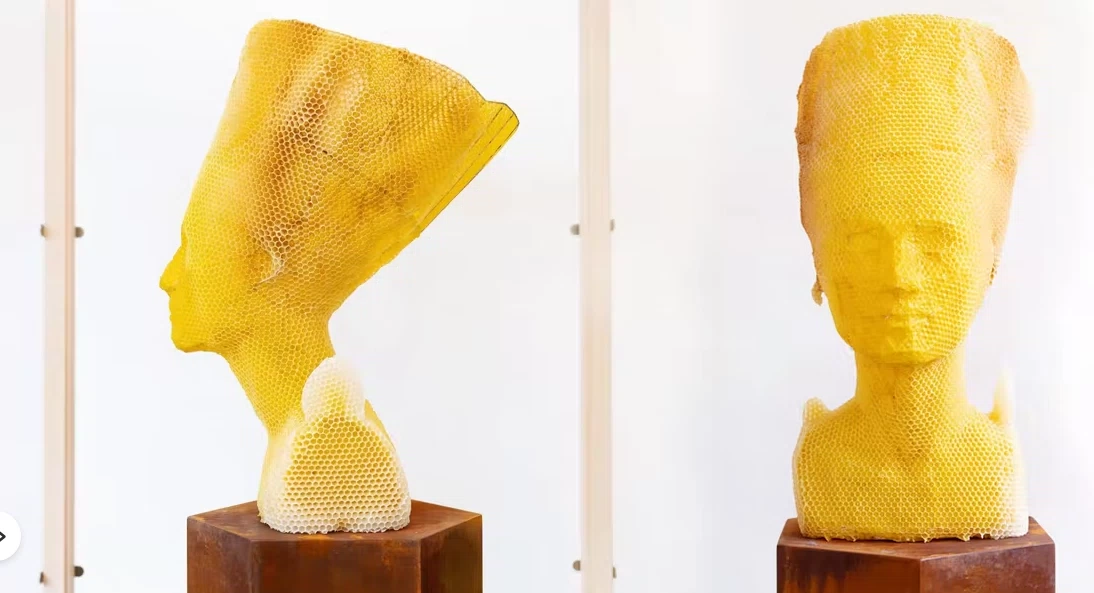 Le génie naturel. L'extraordinaire inventivité naturelle | Atlas Concorde